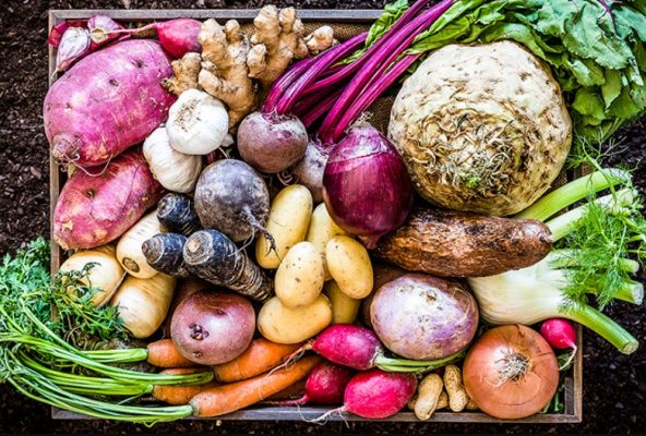 80+ Foods that start with R (Dishes, Snack, Cocktail, Drinks, Healthy ...